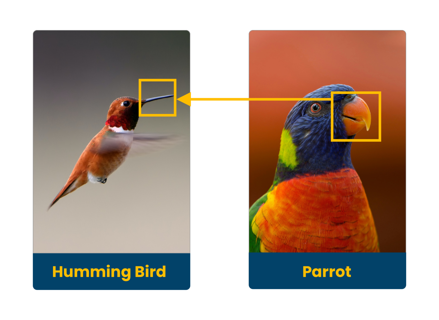 Explainable AI - AI PAPER MAKER